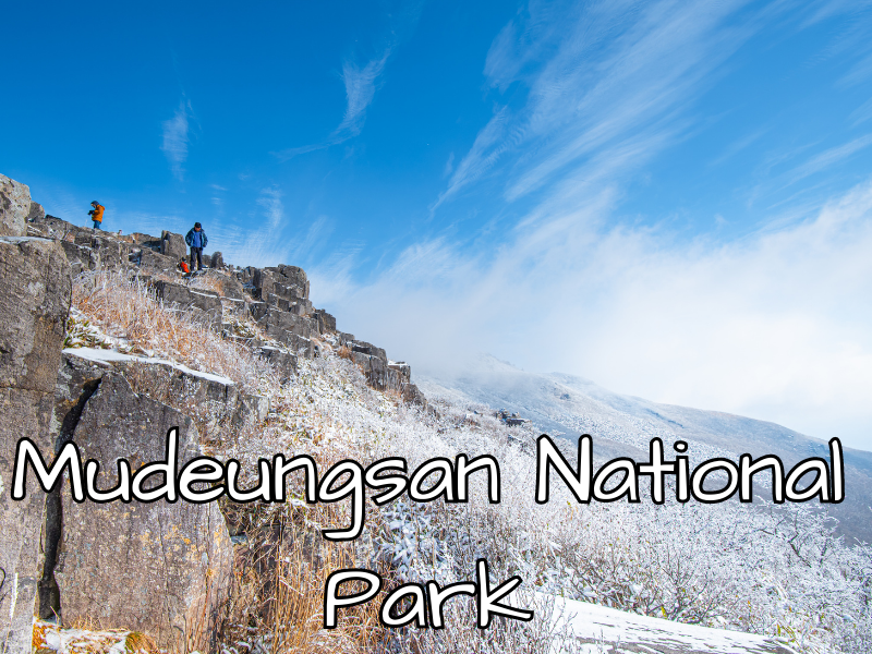 Gwangju travel guide: Top places to explore – SKAPETOKOREA