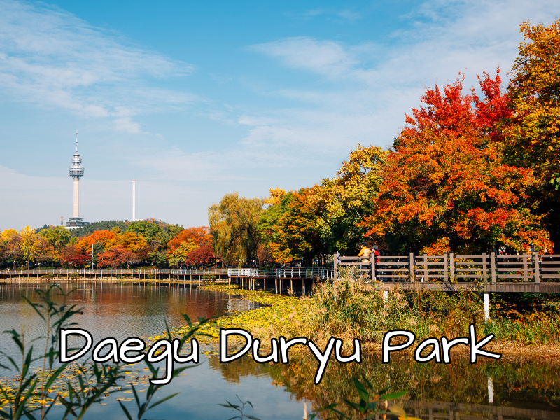 Exploring Daegu: the textile and the apple city – the ultimate guide ...